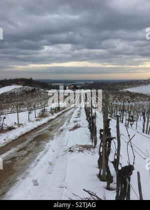 Ansicht der Stadt Modra, Slowakei Stockfotografie - Alamy