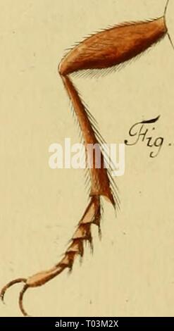 . Elementa entomologica: CXXXV tabulae aere excusae floridisque ...