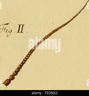 . Elementa entomologica: CXXXV tabulae aere excusae floridisque ...