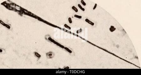 Einführung in das Studium der Einführung in das Studium der ...