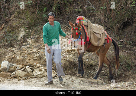 Esel tragen eine Last, Lasttier, Agros, Pitsilia Region, Troodos ...