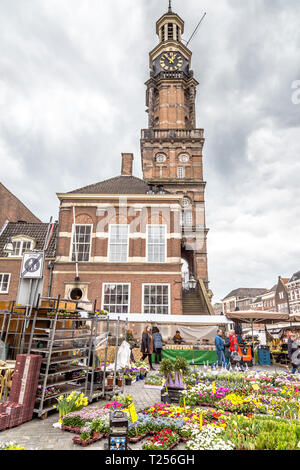 Zutphen, Niederlande - 28 März 2019: Blumenmarkt in der ...