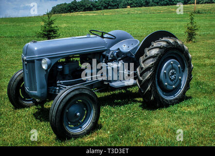 Massey Ferguson-Traktoren an einem Oldtimer-Traktor zeigen in ...