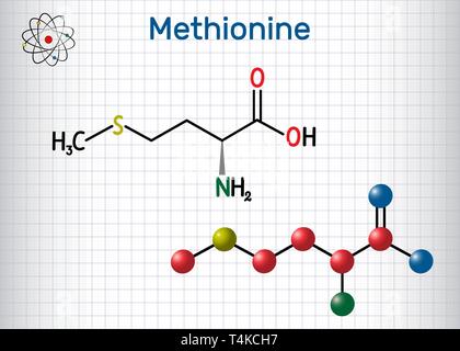Methionin (L-Methionin, Met, M) Aminosäure Molekül. Skelettmuskulatur ...