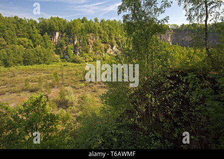Der ehemalige Steinbruch der Bochumer Bruch, Wülfrath, Bergisches Land ...