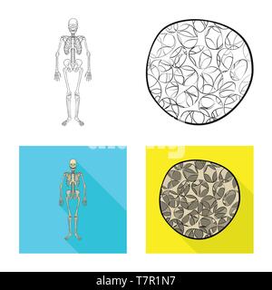 Bewegungsapparat, Osteoporose, wissenschaftlichen, Zelle, Skelett ...