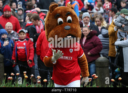 Barnsley Maskottchen Toby Tyke während der Parade in Barnsley ...