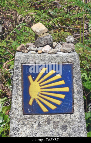 Jakobsmuschel Muschel Symbol markieren den Pilgerweg nach Santiago De ...