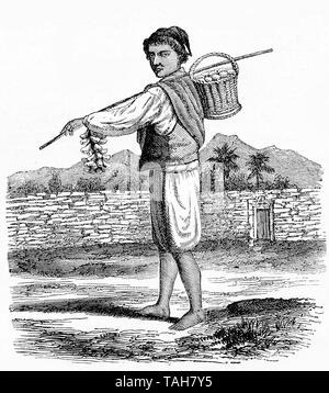 Junger bäuerlicher Mann, der einen Hut auf dem Land trägt, der Bio ...