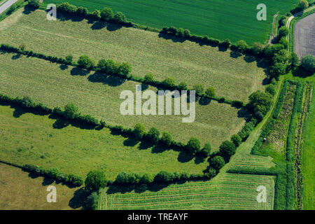 Deutschland, Schleswig-Holstein, Nordfriesland, "Husumer Bucht" (Bucht ...