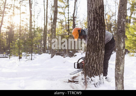 Der Holzfäller arbeitet in einem Wald. Die Entwaldung ist eine der ...