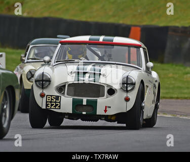 Richard Hywel Evans, Austin Healey 3000 Mk3, Gentlemen Drivers, Sports ...
