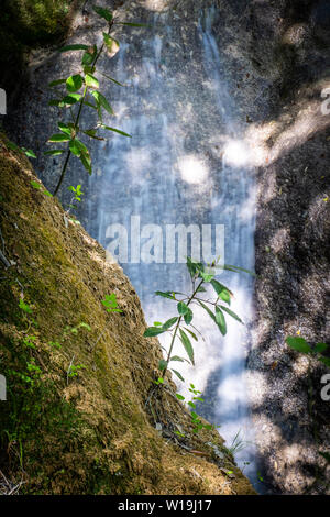 Schöne kleine Wasserfall Sentonina Staza auf Sentonas Trail im Wald ...