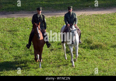 München, Deutschland - berittene Polizei LKW am Englischer Garten mit ...