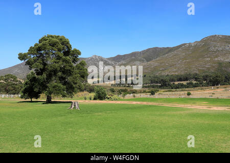 Blick von Manor House Restaurant an der Stanford Hills Estate in der ...