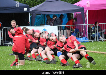 Männern und Frauen in einem Tauziehen Stockfotografie - Alamy