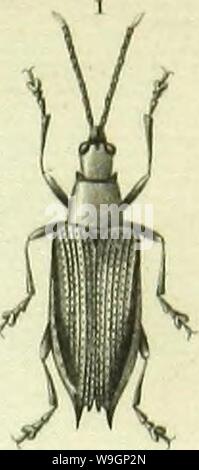 Bild von Seite 308'Histoire des Umgebung de Bruxelles, ou Beschreibung ...