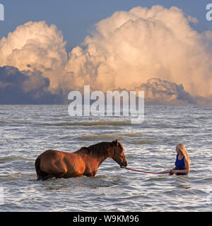 Reiterin/weibliche Reiterin Baden/Paddeln mit Pferd im seichten Wasser ...