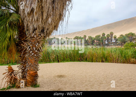Peru, Oase Huacachina, sand, Wüste, close-up der Sandwüste ...