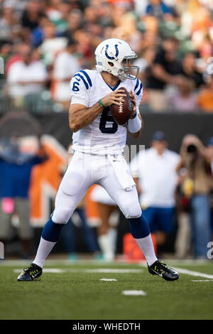 Indianapolis Colts quarterback Chad Kelly (6) Während der NFL Football ...