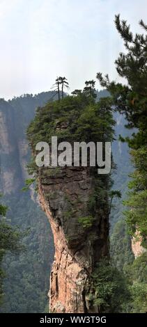 Zhangjiajie der Avatar Berge in der Provinz Hunan in China. Tausende ...