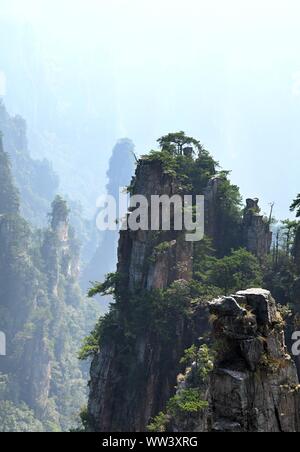 Zhangjiajie der Avatar Berge in der Provinz Hunan in China. Tausende ...