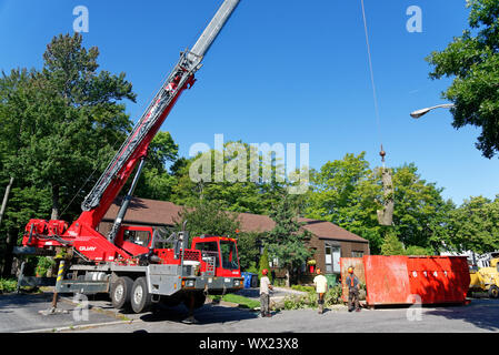 Ein riesiger Kran entfernen von Teilen eines großen Kranken elm in ...
