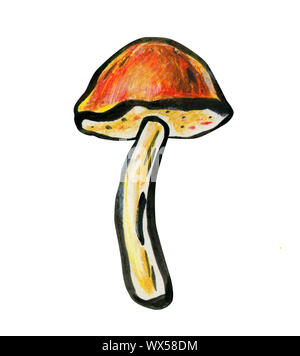Ein Pilz. Herbst Konzept. Cep oder steinpilze. Pilz mit einem rot ...
