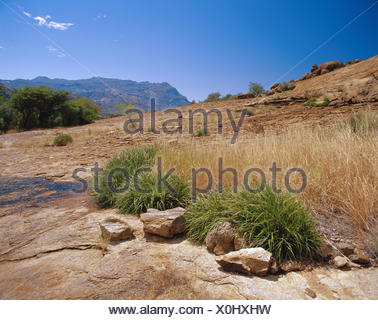 Namibia, Erongo Berge, farm Ameib, Galle Landschaft, "Bull's Party ...