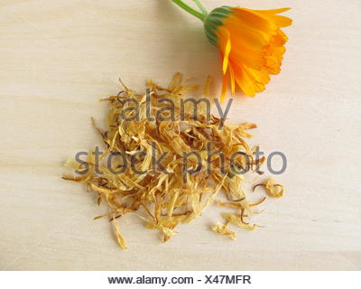 Calendula Officinalis - getrocknete Ringelblumen Stockfotografie - Alamy