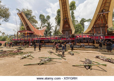 Animismus, Animisten, Religion, Spiritualität, Heidentum ...