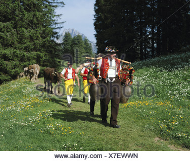Folklore Tradition Almen Alp Lift Appenzell Aufstieg Förderung Bauern ...