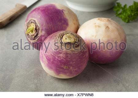 Rübe - Weiße Rübe (Brassica Rapa) in einem Gemüsegarten Stockfotografie ...