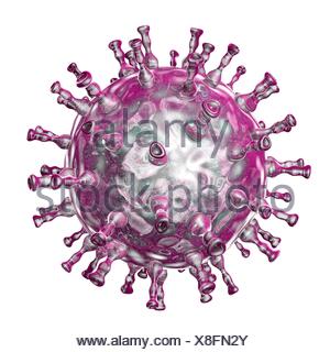 Computer Illustration ein Varizellen Zoster Virus-Partikel, die Ursache ...