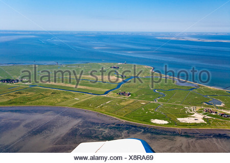 Luftaufnahme, Hallig Hooge Hooge Holm im Wattenmeer, Nordsee ...