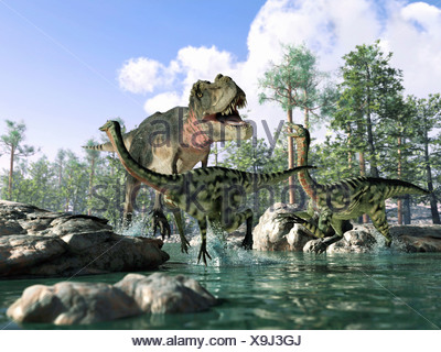 T-Rex Tyrannosaurus Rex Dinosaurier jagen Gallimimus Dinosaurier ...