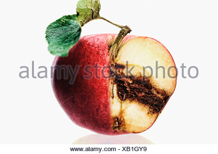 Geschnittenen Apfel, innen verfault Stockfoto, Bild: 48670999 - Alamy