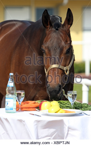 Ein Pferd, Karotten und Äpfel zu essen Stockfoto, Bild: 23373577 - Alamy