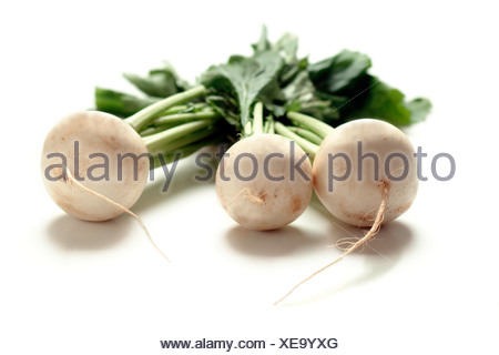 Rübe - Weiße Rübe (Brassica Rapa) in einem Gemüsegarten Stockfotografie ...