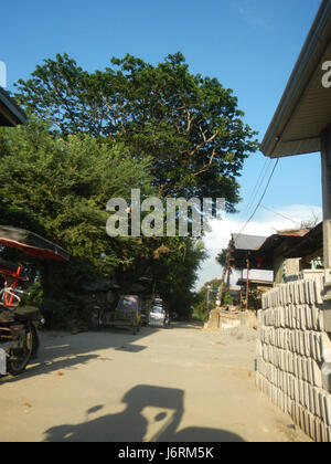 0975 San Juan Santa Cruz Pambilog San Luis Río Pampanga, distritos 19 ...