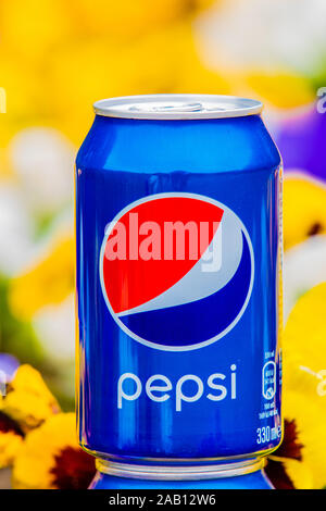 Pepsi Cola peut 330ml fleurs tulipes et arrière-plan. Pepsi est une ...