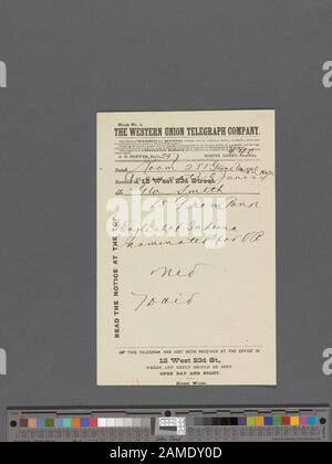 Télégrammes relatifs à la convention nationale démocratique de 1880 ...