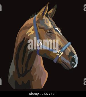 Portrait cheval coloré avec bride. Tête de cheval de profil isolé sur ...