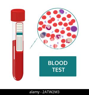 Composition de l'illustration schéma de sang Image Vectorielle Stock ...