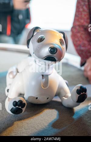 Shenzhen, Chine, Avril 2019. Robot AIBO exposé à Sony Expo 2019. AIBO (aibo stylisé, robot d ...