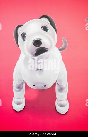 Shenzhen, Chine, Avril 2019. Robot AIBO exposé à Sony Expo 2019. AIBO (aibo stylisé, robot d ...