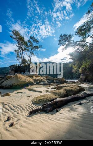 Roc sur la plage de Stillwell Bay, parc national Abel Tasman, Tasman ...