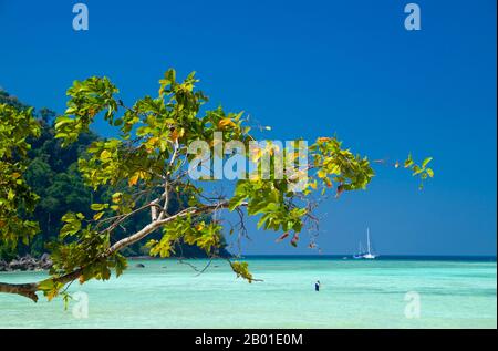 Thaïlande: Plage de Mae Ngam, Ko Surin Nua, parc national marin des ...