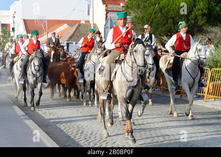 Défilé de cavaliers et de taureaux dans les rues, Festas do Barrete ...