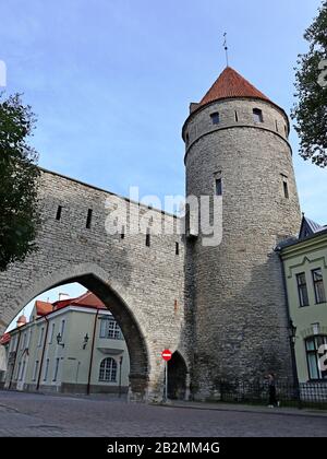 Forteresse médiévale en pierre vieux bâtiments à Tallinn Estonie ...